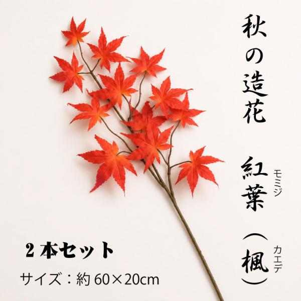 〇サイズ約60×20cm2本セット※商品の実寸サイズには個体差があり、±数cm程度の差違がある場合がございます。※サイズは平置きサイズで測り方により誤差が出る場合がございます。〇素材ポリエステル〇仕様・販売単位：2本(セット販売)・コンパク...