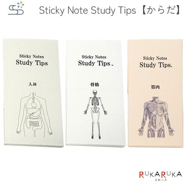 Sticky Note Study Tips 【からだ】 全3種松浦紙器製作所 2440-FS-SST00* ふせん 付箋 人体 骨格 筋肉