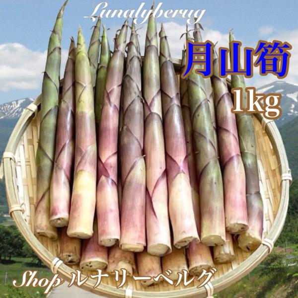 月山筍（がっさんたけ）とは、山形県のほぼ中央にそびえる名峰「月山」にのみ自生するとても貴重なもので、チシマザサ（ネマガリタケ）の系統の一つで、サクランボに並ぶ山形トップブランド食材であります。アクがないため、そのまま調理することができ、みそ...
