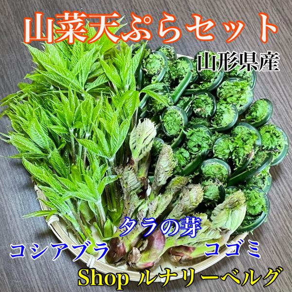 山菜は、全国的にはとても貴重なものでありますが、山形県村山地方は、西に蔵王、東に月山朝日連峰に囲まれた地域で、山菜が豊富に採れる山菜王国であります。その中でも特に天ぷらにマッチした貴重な山菜を盛り合わせて皆様のもとへお届けいたします。【商品...