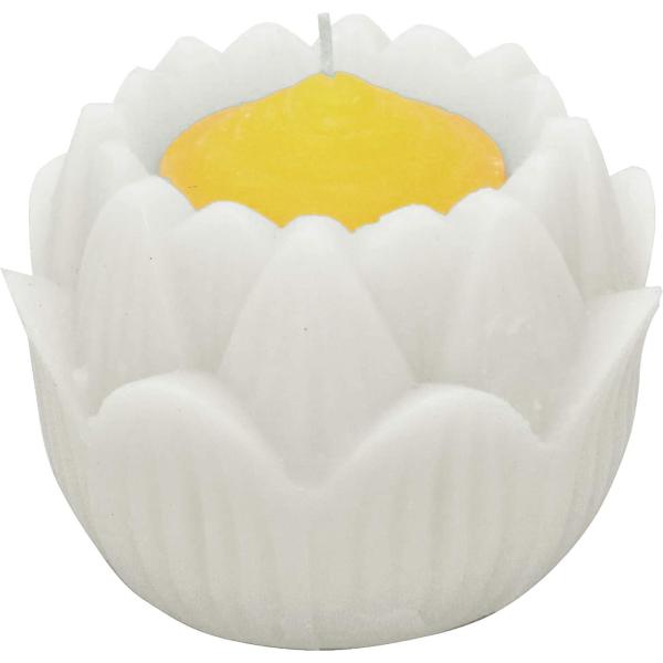 ◆ 当店は紙での領収書の発行は行っておりません◆ 初期不良は、1週間以内にご連絡下さい。それ以降の対応は出来ませんので、ご注意下さい。◆ 初期不良以外の故障は、メーカーにお問合せ下さい。