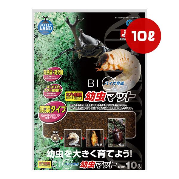 【同梱可】カブト虫の産卵・孵化は夏から秋にかけてです。そこから大きく育てるには専用の幼虫マットが必要になります。●材質広葉樹●原産国日本