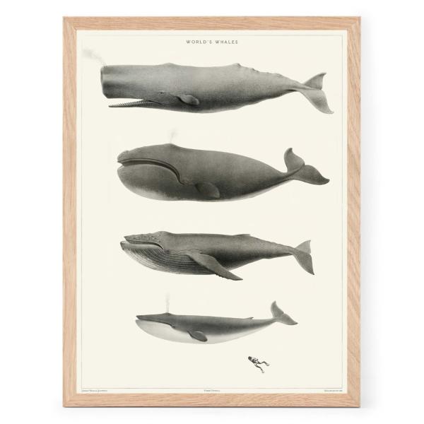 PSTR Studioは、美しく意味のあるアートをすべての人に届けたいという想いから誕生した、アート愛好家によるオンラインアートショップです。アート初心者からコレクターまで、誰もが心から惹かれる一枚に出会えるよう、遊び心と洗練されたデザイン...