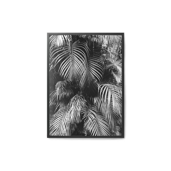 「Coco Lapine」はベルギーの女性デザイナー2人によって立ち上げられたブランドです。インテリアデザインに強い情熱を持った彼女達の世界観が表現されたアートプリントは、ヴィンテージやクラシックインテリアなどにも合う落ち着いた深みのある色...