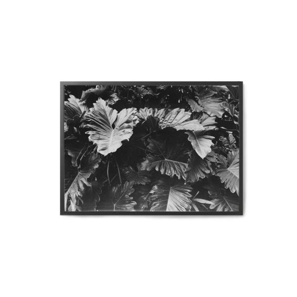 「Coco Lapine」はベルギーの女性デザイナー2人によって立ち上げられたブランドです。インテリアデザインに強い情熱を持った彼女達の世界観が表現されたアートプリントは、ヴィンテージやクラシックインテリアなどにも合う落ち着いた深みのある色...