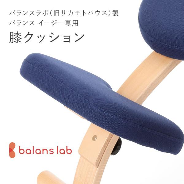 お客様にずっと使っていただきたいから… バランスラボ製 バランス イージーは、ネジ一本、部品一つからご購入いただけます ! !【お支払い方法】●クレジットカード決済 ●代金引換（代引） ●銀行振込み ●モバイルSuica決済 ●モバイル支払...