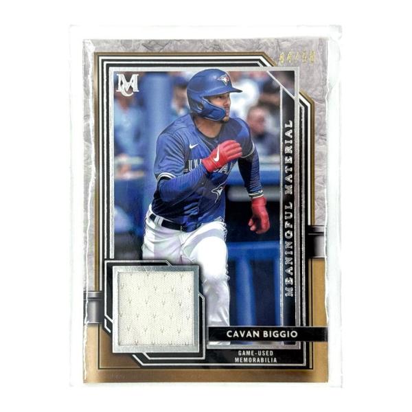 キャバン・ビジオ ブルージェイズ