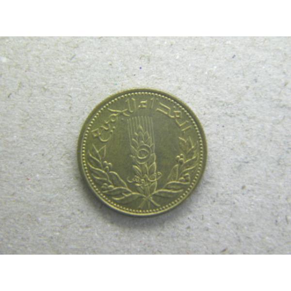 Aluminum-Bronze 3.0g 19.0mm