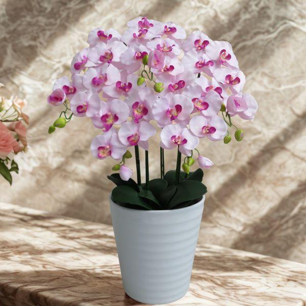 「高級和紙とダブルボー型のリボン」によるラッピングが、豪華なお花により高級感をもたらします。また、「祝い事を終えたあと、ラッピングを外したいから、花器もイイものが欲しい」というお客様の声から、鉢は、スタイリッシュな白色の陶器鉢を使用しました...