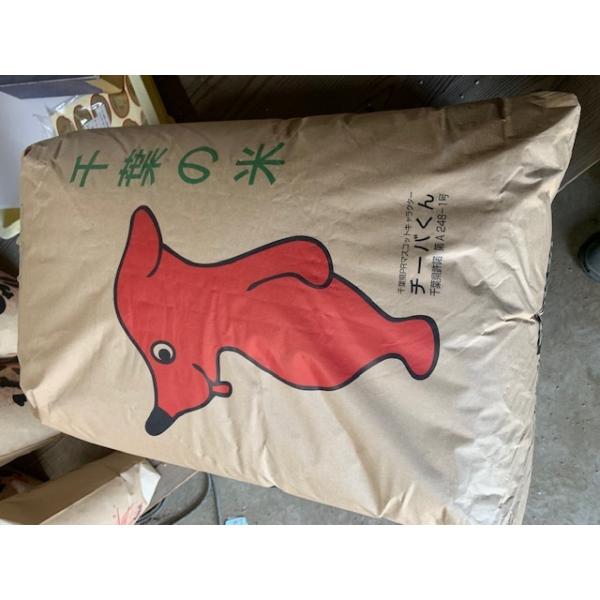 【発売日：2026年01月03日】コシヒカリ玄米３０ｋｇ　わけあり品です　令和７年産　種籾のなかで、粒径、籾のよごれ、などで不合格となった　コシヒカリ種籾を籾摺りしコシヒカリの新米にしました。農協出荷をすると、2等米と判別されます。普通に美...