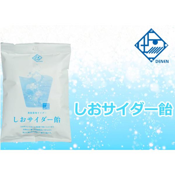 【関連ワード】商品説明ではありません石川県 能登 奥能登 日本海 しお 塩 海水塩 伝統 塩分補給 あめ 塩飴 サイダー飴 熱中症対策 奥能登地サイダー しおサイダー 揚げ浜式 塩作り 500年前 製塩 かん水 塩田 夏 炭酸 塩キャンディ...