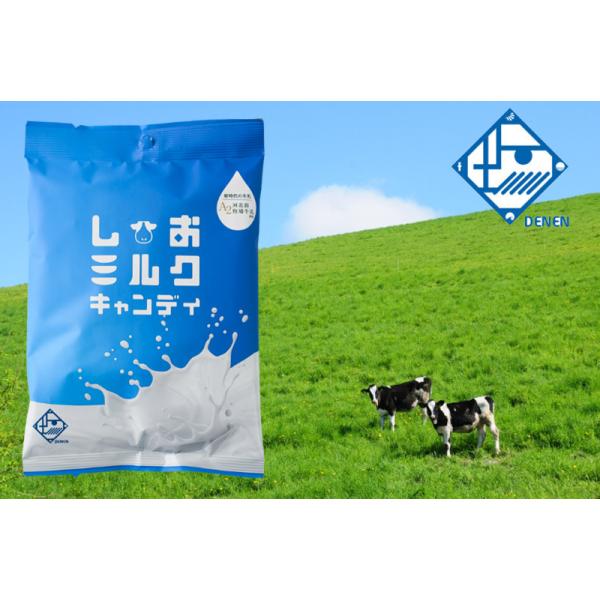 ※この表示値は目安です 【関連ワード】商品説明ではありません石川県 能登 奥能登 日本海 しお 塩 海水塩 伝統 塩分補給 あめ 塩飴 サイダー飴 熱中症対策 揚げ浜式 塩作り 500年前 製塩 かん水 塩田 夏 人気 おすすめ 外出先 塩...