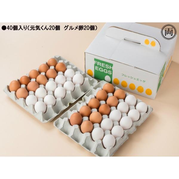 卵は餌によって味は変わるんです！！野菜たまご 元気くんとグルメ卵 和の食べ比べセット■入数：40個入り（元気くん20個　グルメ卵20個）●野菜たまご元気くん臭みが少なく味が濃い卵、花井養鶏場の卵では一番ご利用いただいています。※野菜たまご ...
