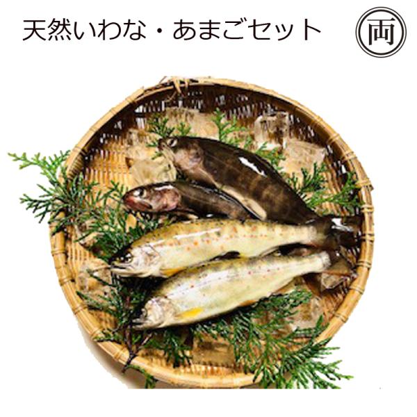 【セット内容】・天然いわな2尾・あまご2尾●天然あまご岐阜県郡上市を流れる清流長良川の最上流で獲れた天然のあまごです。東日本などに生息するヤマメとほぼ同じですが、アマゴには赤い水玉が見られます。サケ科のサクラマスの亜種であるサツキマスの一種...