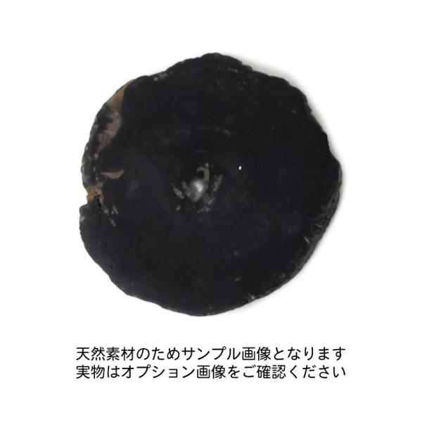 ●　商品データ●　サイズ　：　約Φ10 × h1cm●　素材　：　珪化木●　ブランド　：　amabro / アマブロ●　配送区分　：　　ポスト投函NG
