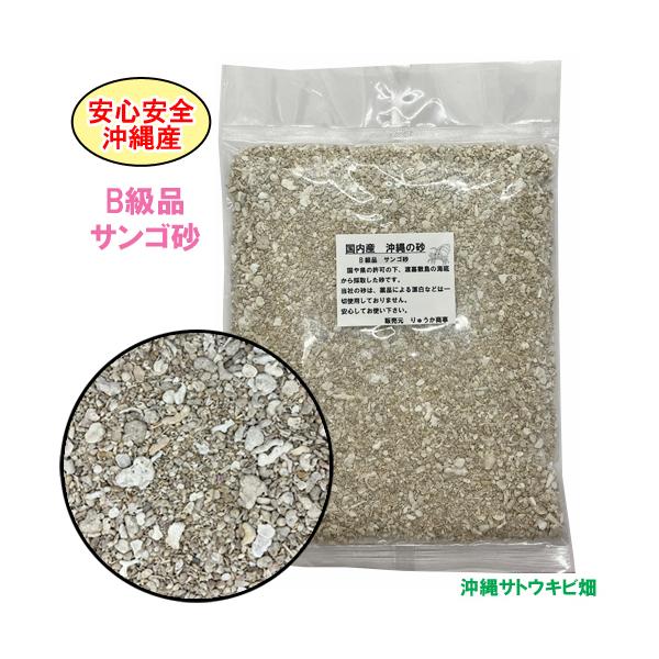 ※B級品の砂です※通常のサンゴ砂より白くない為、格安で販売いたします沖縄県産、薬品不使用に変わりはなく、安心してご利用下さいオカヤドカリには洗わずにすぐ使用できます【商品内容】B級品　沖縄産　サンゴ砂内容量：１kg沖縄県の自然界の砂浜の砂は...