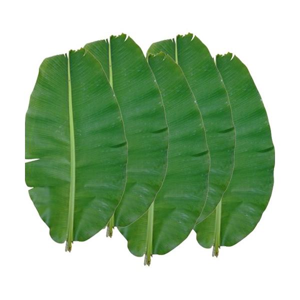 【商品内容】沖縄県産バナナ生葉×5長さ:約85cm-130cm幅　:約40cm-60cmサイズの指定は出来ません※裂け、傷がございます比較的裂けや傷が少ない葉を選び荷造りしていますが、葉が柔らかく裂けやすい生葉のため、予めご了承ください＊キ...