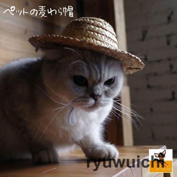 とってもキュートなペット用帽子！ワンちゃん、ネコちゃんの紫外線対策にもぴったりのアイテムです。【サイズについて】画像をご参照ください。【カラーについて】生産ロットにより柄の出方や色の濃淡が異なる場合がございます。お使いのモニターや撮影時の光...