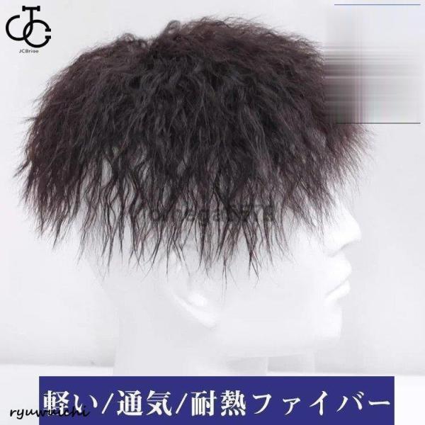 【品名】：メンズウィッグ【カラー 】：全2色【サイズ】：F【素材】：耐熱性ファイバー【産地】：中国検索ワード：ウィッグ ロング ショート　フルウィッグ 部分ウィッグ　つけ毛　グラデーション ウイッグ カール ウェーブ 自然 セミロングウィッ...