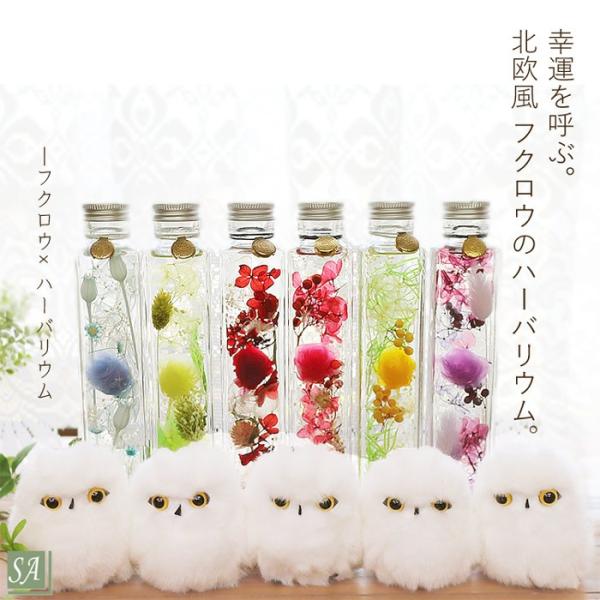 ■ご注意：プリザ・ドライは天然の素材のため、自然な欠け・若干の破れ・実のはじけ等が生じる場合がございます。また、使用花材の欠品によって変わる場合がありますが、大きく雰囲気が変わることはございませんので、ご安心ください。■ご用途：母の日 敬老...