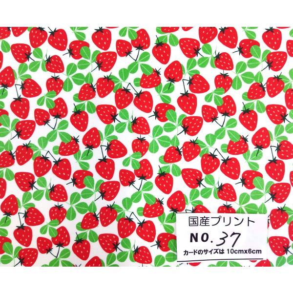 【発売日：2024年08月02日】初めに、数量2でご注文頂いた場合、つながった状態の110cm幅X45cmのサイズにてご用意させて頂きますまた、店頭在庫があればですが、110cm幅でのご希望数量の、新たな商品ページを作ってご案内させて頂きま...