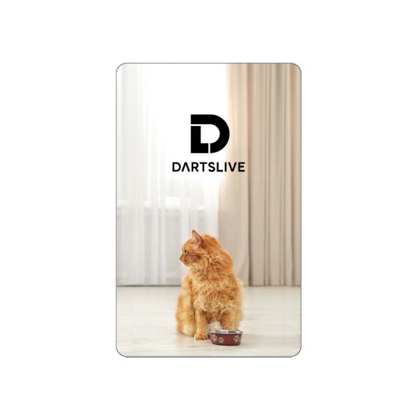 DARTSLIVE CARDダーツライブ社が提供しているダーツマシン「DARTSLIVE」「DARTSLIVE2」「DARTSLIVE3」の専用ICカードです☆プレーヤーの成績を保存できちゃいますので1枚は必需品ですね!※「DARTSLIV...