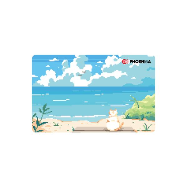 PHOENIX CLUB CARDPHOENicA(フェニカ)フェニックスダーツの専用ICカードです☆プレーヤーの成績を保存できちゃいますので1枚は必需品ですね!!※オンラインサービスが利用できる「VSPHOENIX S」「VSPHOENI...