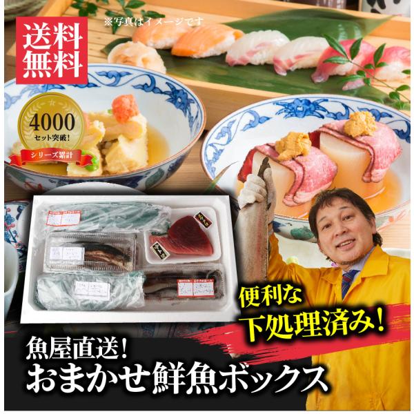 【水場】日本近海【内容量】　6種類程度（参考重要4ｋｇ）【配送便等の条件】 送料無料　※本州・四国のみ対象：北海道、沖縄、離島は追加配送料がのみかかります 冷凍・冷蔵便同梱可同じ住所へ2セット以上購入の場合お値打ち商品の為、箱を分けての配送...
