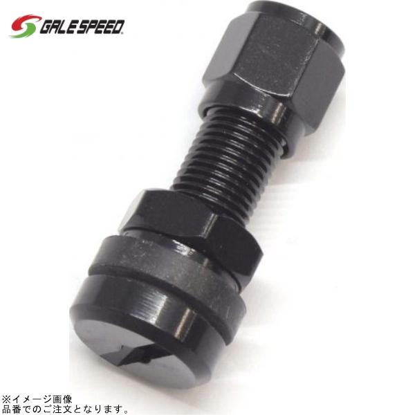 ■ブランド：GALE SPEED(ゲイルスピード)■販売元：ACTIVE(アクティブ)■メーカー品番：28200055■商品名：ストレートバルブ ブラック (φ11.5/純正ホイール対応)