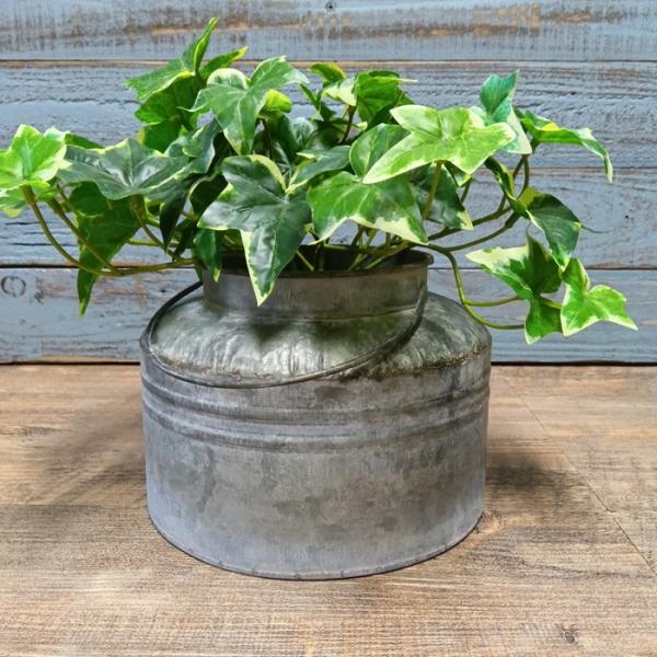 ハンドルを含まないサイズ直径１９×高さ１３センチ底穴ありブリキ製ミルク缶をモチーフにしたかわいいブリキポットブリキやスチール製のポットはナチュラルガーデンにおすすめです。底穴のないポットにはご希望があれば無料で穴あけ加工も承ります。オーナメ...