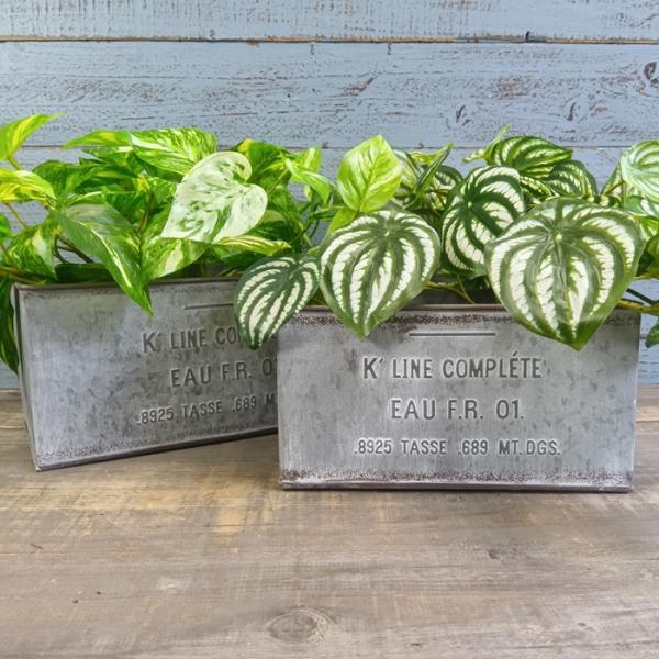 Lサイズ幅２６×奥行１２×全高１２センチSサイズ幅２１×奥行１１×全高１１センチ底穴ありブリキ製2個アソートセットの販売価格です。フレンチテイストのおしゃれなボックスプランターブリキ 鉢 プランター 鉢カバー ブリキ缶バケツ ポット オーバ...