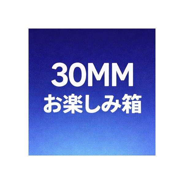 30MINUTES MISSIONSのお楽しみ箱です。【ご購入前に必ずご確認ください】本商品はランダム内容の「30MMお楽しみ箱」です。シリーズ内でランダム封入となるため、キット・機体・種類などの指定はできません。定価換算で販売価格以上の内...