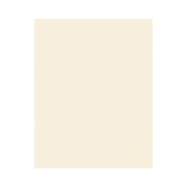 【発売日：2019年09月05日】■普通台紙 No.790幅広い用途で使いやすい、表紙カットのない無地台紙表紙カットのない無地の写真台紙です。台紙に直接メッセージを書き込んだり、シールを貼ったりなどのアレンジもしやすい台紙です。入学式や結婚...