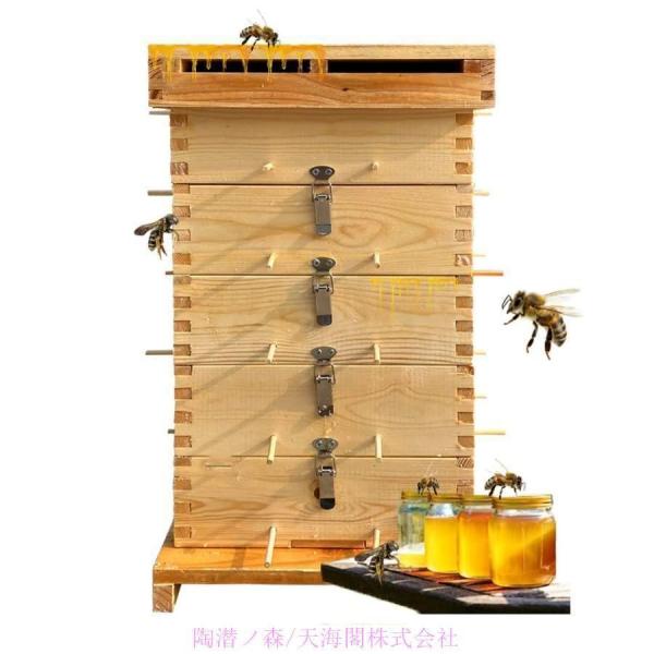 ★ユニークなデザイン:蜂の巣巣礎を必要としない 竹串で代用する 蜂蜜を取るのは簡単で、繰り返し取り出す必要がなくて、ミツバチに対する妨害を減らします ★より安全:養蜂箱網の設計があり、外の昆虫から蜂を守ることができます 掃除はもっと便利で、...