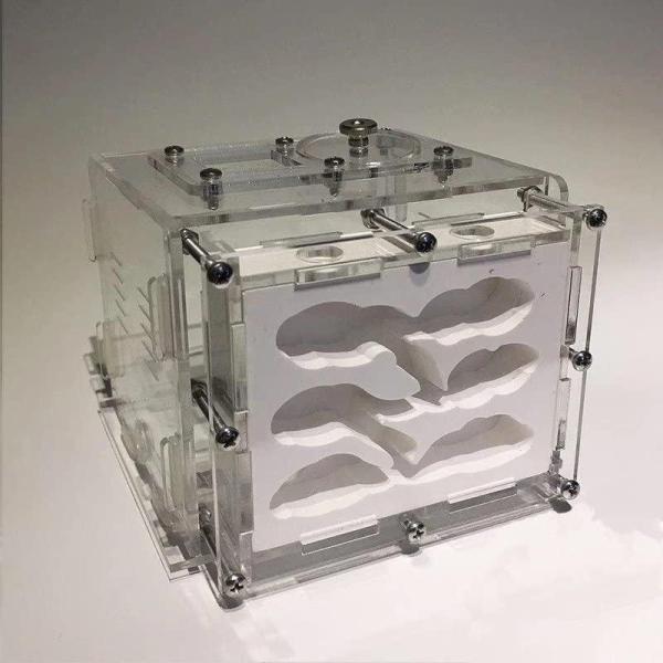 透明なアクリルでできたケースは360度どの方向からでも中のアリの生活を観察することができます 土やゲルを使用しないので腐らず清潔も簡単です アリに快適に暮らせる理想的な飼育容器です 保湿性が高く湿度管理がしやすい、巣の上部（1/3）を湿らせ...