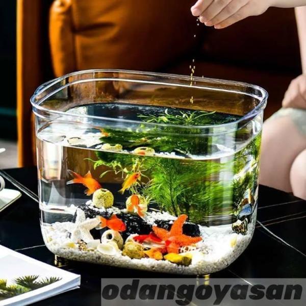金魚鉢 水槽 飼育水槽 PET素材 透明アクリル 観葉植物 インテリア 容器 テーブル アクアリウム ボウル プラスチック メダカ 鉢 インテリア 容