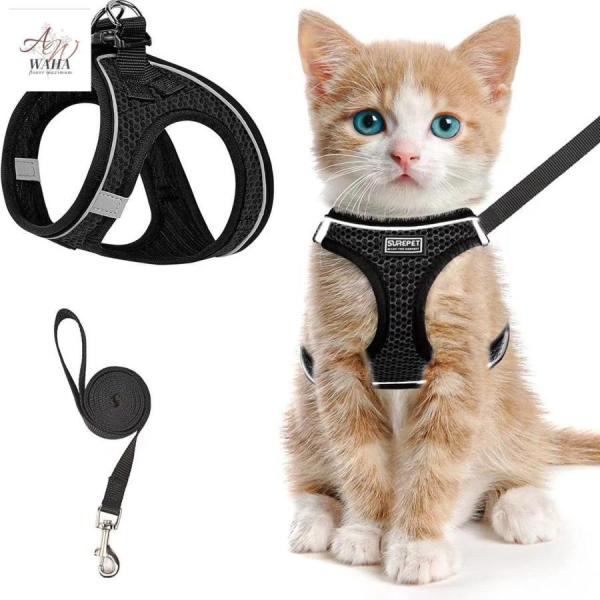 ・【面でを支えるハーネス型】愛猫の体をしっかり包み込み、首つりにならなく、首回りへの負担をカットしたベスト型のハーネスです。ハーネス全体で線ではなく面で支え、裏地のスポンジメッシュが衝撃を面で吸収してくれるので、体の弱い子や老猫にもぴったり...