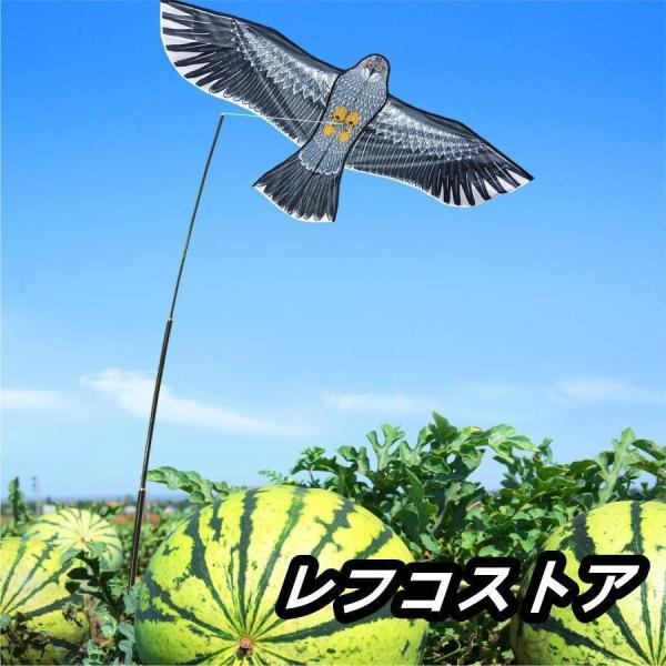 鳥よけ カイト 鷹 (ポール竿付) 軽量丈夫 防鳥具 鳥追い 畑 植物保護 農業用 カイト鷹 1.5m凧 4mポール