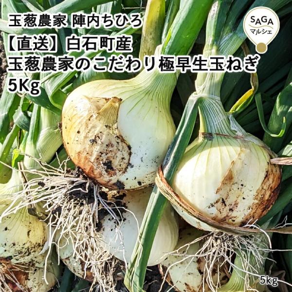 3月から4月ごろに短期間で収穫される「新玉ねぎ」と呼ばれる種類です。甘みが強く、やわらかいため、サラダや浅漬けなど生で食べるのにおススメ！玉ねぎの名産地である佐賀県白石町の土壌は粘土質でミネラル分が豊富！お客様に元気、そして笑顔をお届け出来...
