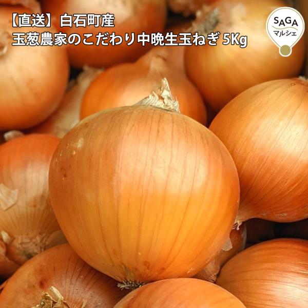 ５月下旬〜６月初旬ごろ収穫される「玉ねぎ」です。加熱すると甘みが増すため、炒め物・肉じゃが・カレーなどにおススメ！玉ねぎの名産地である佐賀県白石町の土壌は粘土質でミネラル分が豊富！お客様に元気、そして笑顔をお届け出来るように日々精進していま...