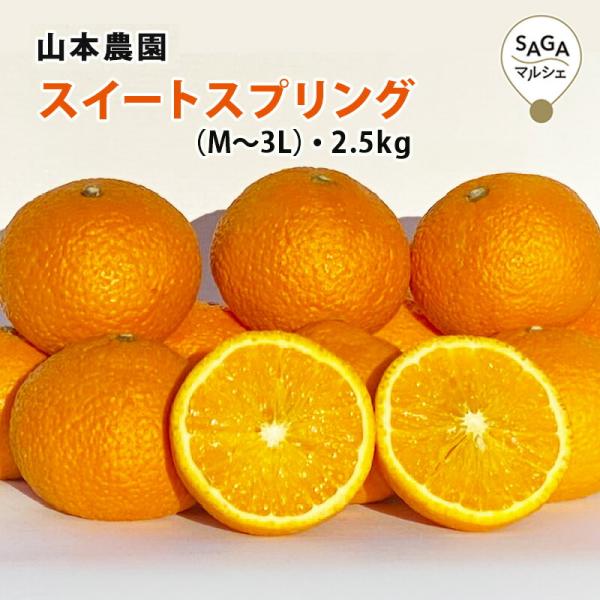 【スイートスプリング】は「上田温州みかん」と「八朔」を交配し育成された品種です。温州の濃厚な甘さと八朔の爽やかな香りと、しっかりとした粒をご堪能いただけます。見た目とギャップの爽やかで甘いのが特徴、外皮が緑色1月上旬〜2月上旬)、黄色=完熟...