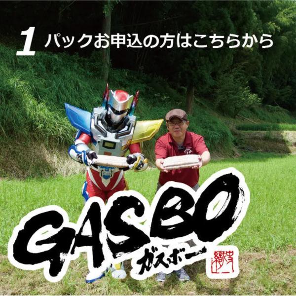 【ガスボーの特徴】・加熱処理品ですので、どなたでも失敗なく簡単に調理でき、バーベキューや、キャンプ等に適しています。・長さ２５〜３０cm、１本１００gと超ロングなボリュームが魅力です。・ソーセージの本場・ドイツ「食肉加工品コンテストＳＵＦＦ...