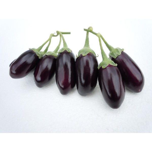 かわいいミニ茄子。一口サイズでそのまま浅漬けにしても美味しい！ ■容量は季節により変更となる場合がございますが、価格に変更はございません。 メール便で10袋まで同梱できます。
