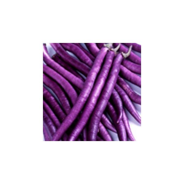 品種名：マー坊 特徴：ふわっとした肉質の果肉は甘みがあり、油との相性も非常に良い。  ※より詳しい品種の詳細についてはPC版でご覧ください   商品内容：種 約60粒入り    メール便で<font color="red">10...