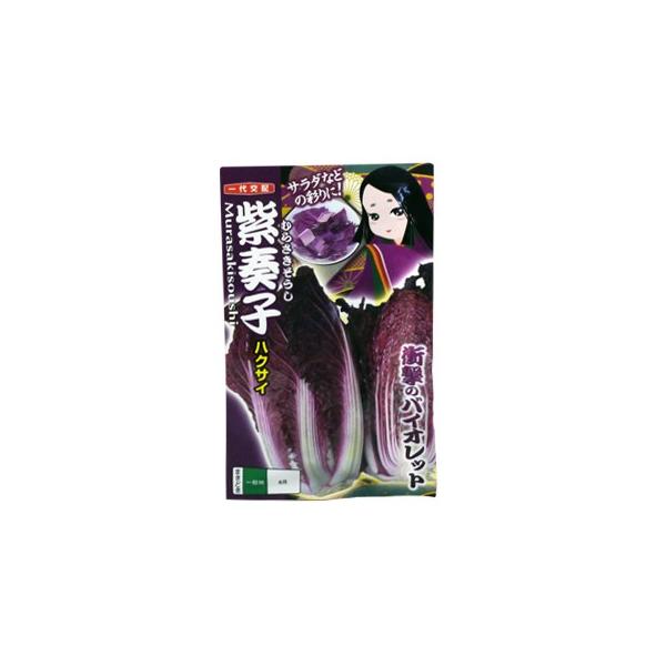 一般の白菜には無い、赤い色(アントシアニン)の発現が優れた赤紫色の珍しい白菜。生育日数は、１０月収穫で約６５〜７０日、１１月収穫で７０〜８０日程度。球重は1.5〜２ｋｇ程度のやや中玉となる。強光線下では外葉は葉緑素が多く生成され緑色が強くな...