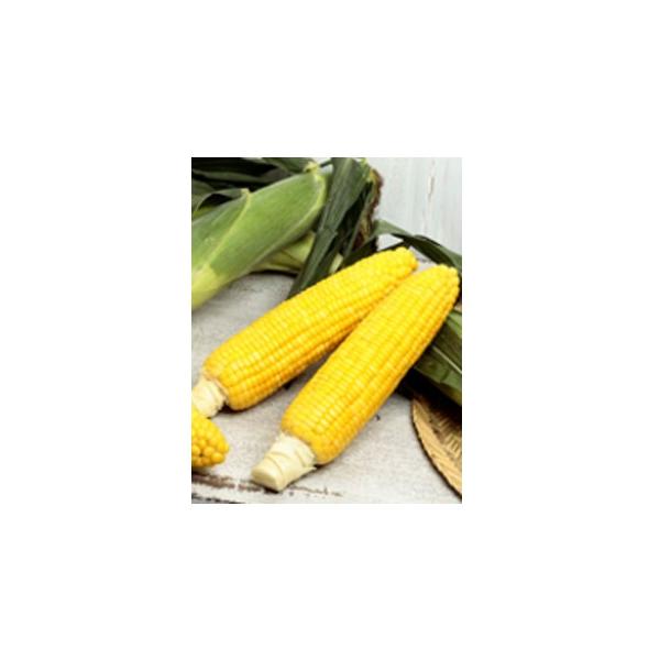 非常に倒れにくく、収穫作業が容易！！　　　■容量は季節により変更となる場合がございますが、価格に変更はございません。 　メール便で10袋まで同梱できます。　　　　