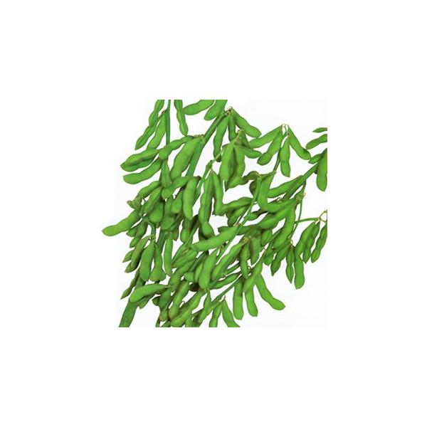 ハウスやトンネル栽培は2〜3月。露地は4〜7月に種まきができる極早生品種。1莢に3粒と濃緑色で、甘みが強い！莢の肥大期は水分不足に注意し、開花後30〜35日で収穫しましょう。種まき期：4〜7月収穫期：7〜9月 ■容量は季節により変更となる場...