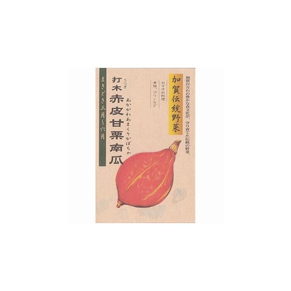 昭和8年、金沢市打木の松本佐一郎が福島県の洋種系赤皮栗南瓜を導入。昭和18年頃固定。戦後全国に出荷され関西を中心に人気を博した。特長ある赤い皮の西洋系円錐形栗カボチャ。草勢旺盛で早くから親づるへの雌花の着生が良く、長期間成る。着果後一か月前...