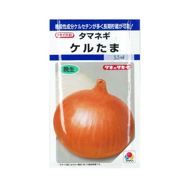 ケルセチン（配糖体）が従来の秋まき玉ねぎの約2倍で長期貯蔵が可能です。　晩生で玉のしまりが良く、肉色はやや黄みをび食味濃厚！！　 　■容量は季節により変更となる場合がございますが、価格に変更はございません。 メール便で10袋まで同梱できます...