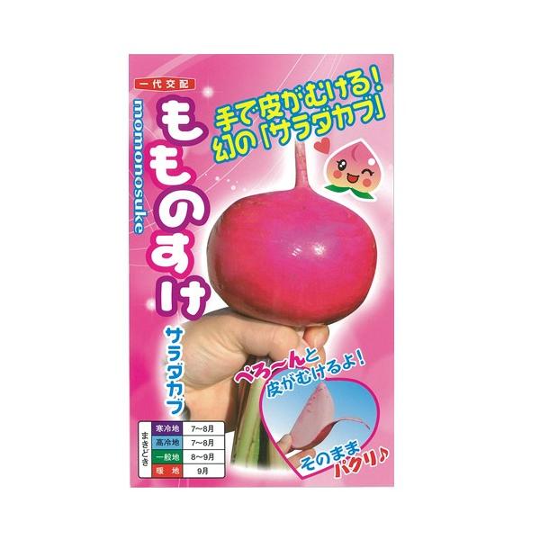 手で皮がむける！幻の「サラダカブ」！！　外皮に切れ込みを入れると簡単にひと皮向けます。播種後55日くらいで8cm程度の中蕪になり、12cmくらいまで大きく出来ます。葉は60cm、茎は淡い緑で薄く紅色が入ります。　葉の裏に出る白さび病に強く栽...